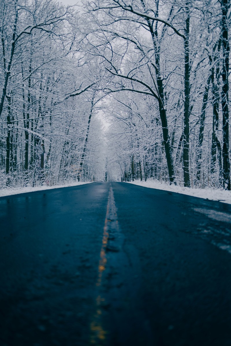 Liminal Times | P. Jo Anne Burgh